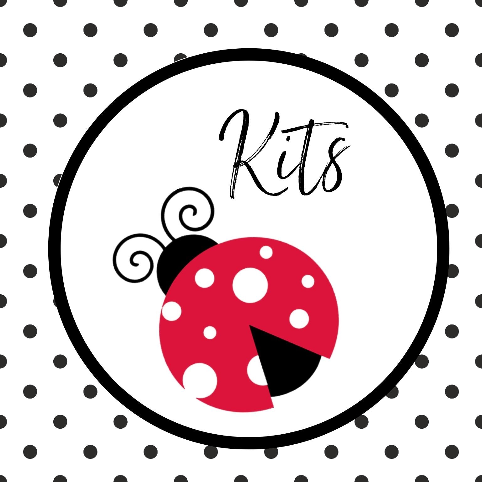 Kits – Busy Lady Quilt Shop