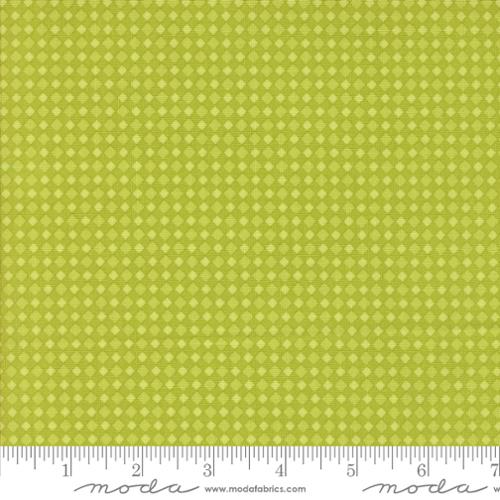 Fab Boo Lous Green Slime Spooky Gingham – Busy Lady Quilt Shop