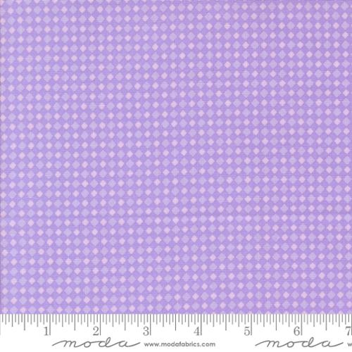 Fab Boo Lous Grape Soda Spooky Gingham – Busy Lady Quilt Shop